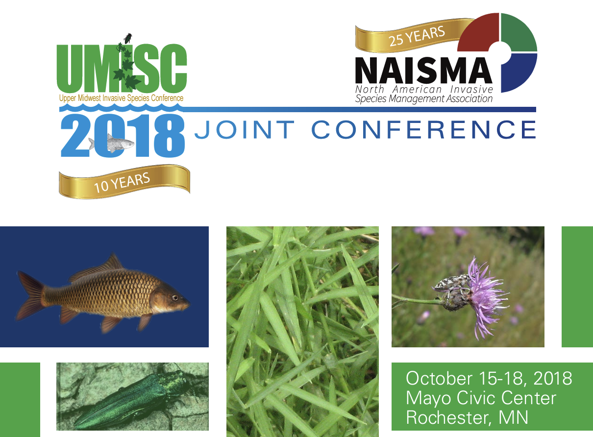 MIPN Conference Presentations - MIPN